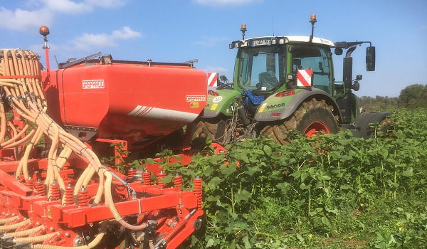 Semis Direct : avantages et limites